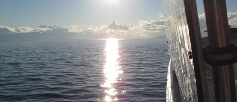 Moorage Programs | Van Isle Marina Victoria