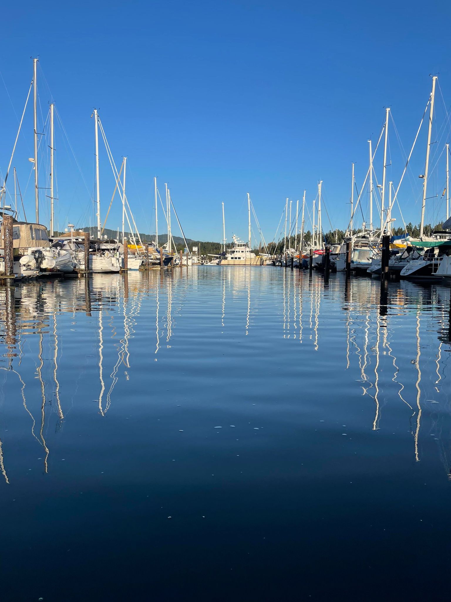 How the Internet of Things is Changing Boating - Van Isle Marina